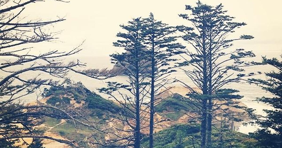 caryn jones - Portland, OR, Jensen & Leiberan, PC | about.me