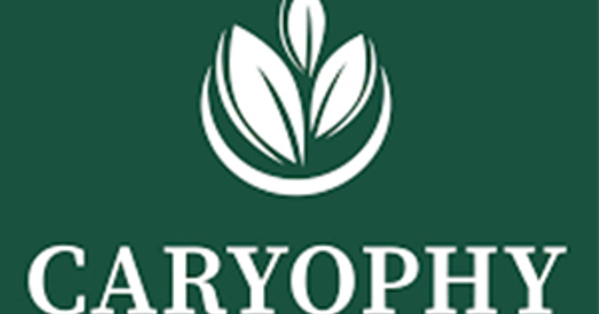 Caryophy Korea - Hồ Chí Minh | about.me