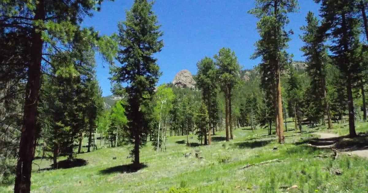 Keith Lattimore-Walsh | about.me