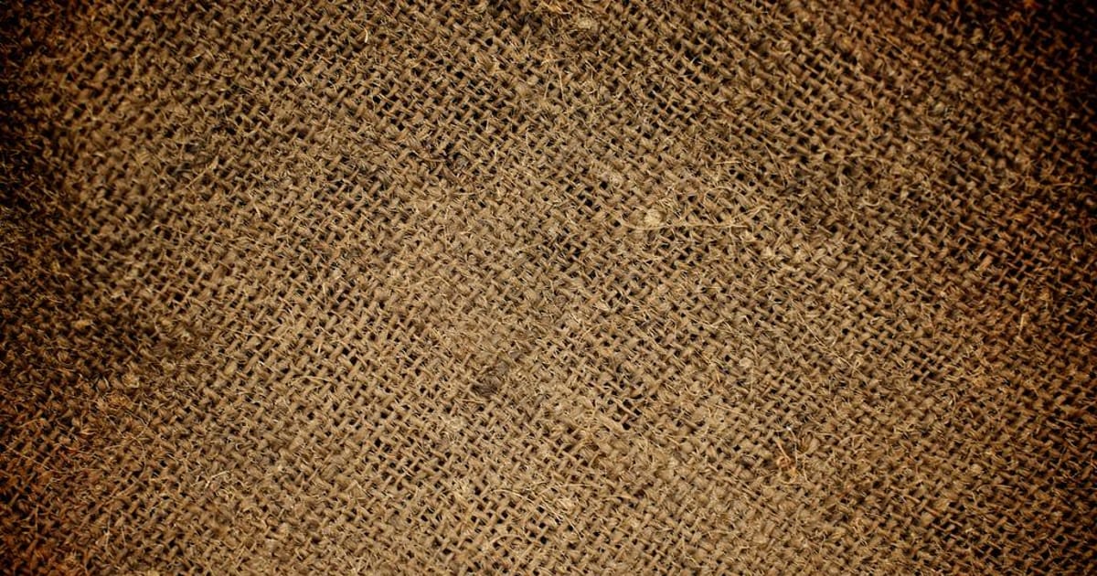 Catey C. Labban - Charlotte, NC, University of North Carolina at Chapel ...