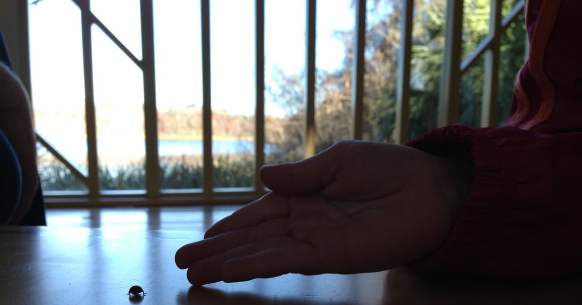 Charlene Hewitt | about.me