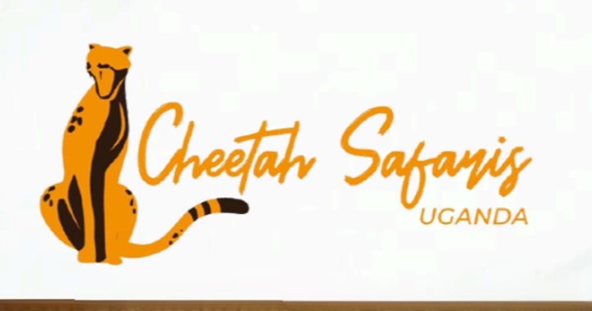 Cheetah Africa safari - Uganda | about.me