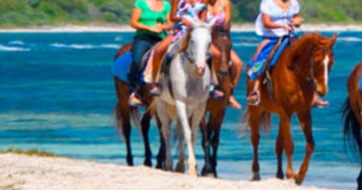 chooseyour driver - Jamaica, Choose Your Driver LLC | about.me