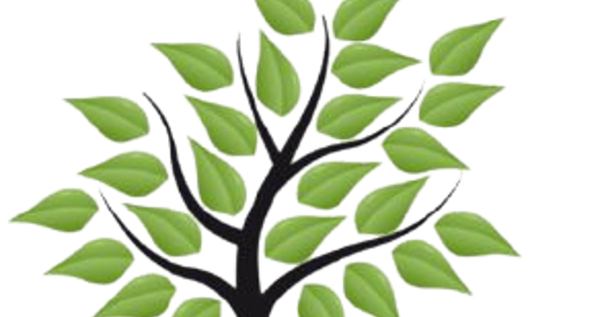 Chris Deck - United States of America | about.me