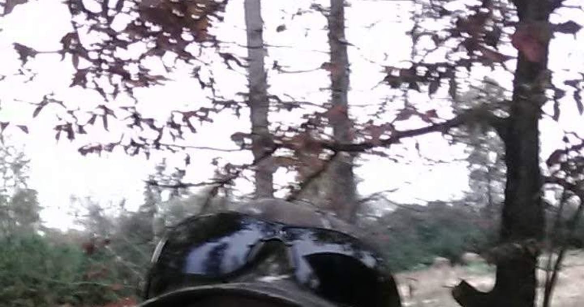 Chuck Mcleod - Alabama | about.me