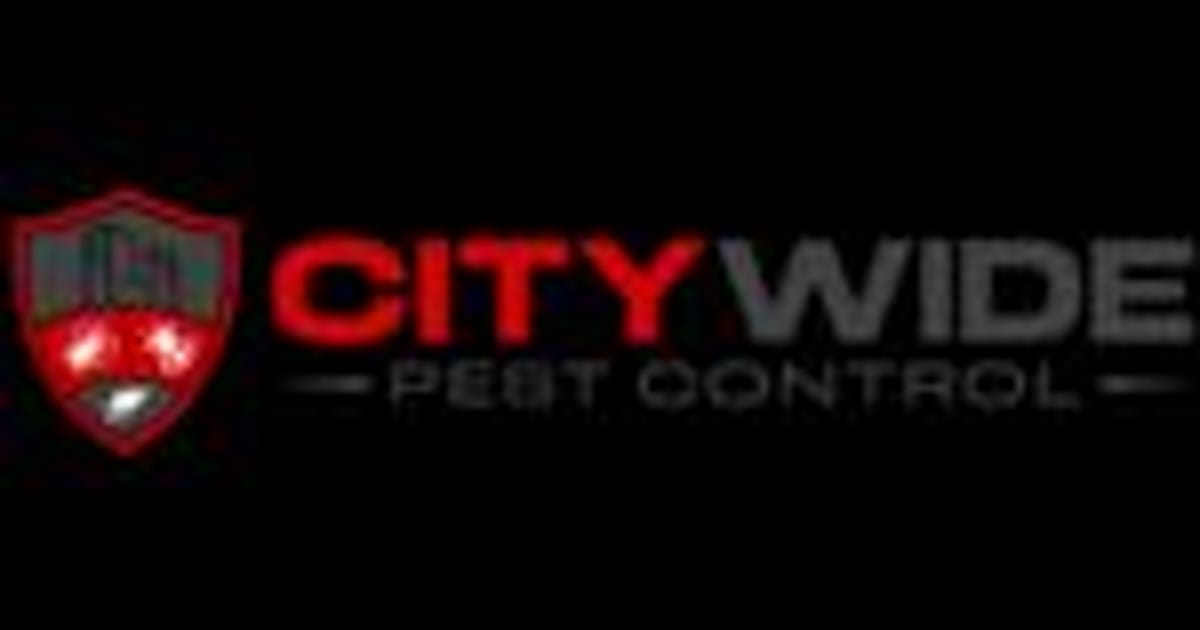 City Wide Flies Control Sydney - 531 Kent St Sydney NSW 2000, Australia ...