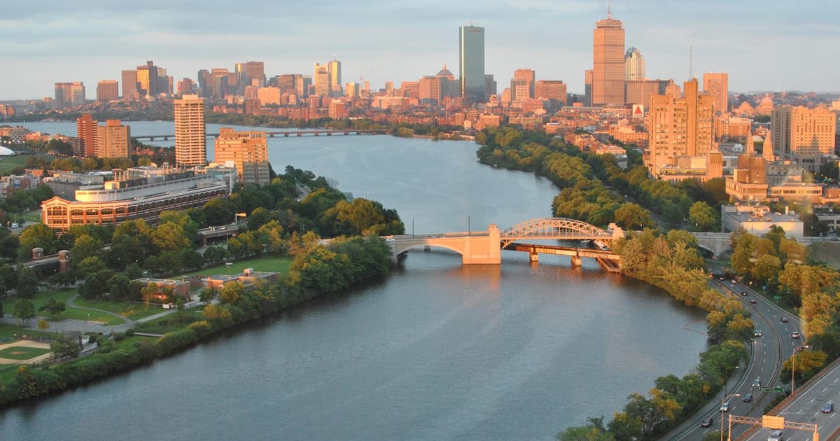 Joy Cohen - Boston, Massachusetts, United States, New York, Ny., New ...