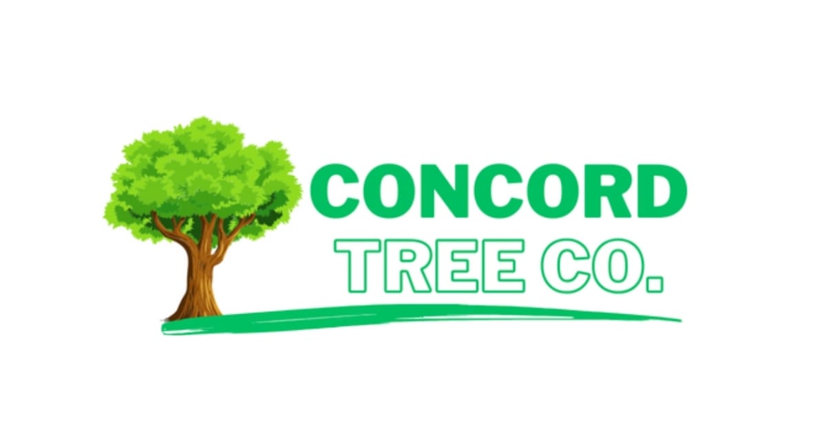 Concord Tree Co - Concord, NC United States | about.me