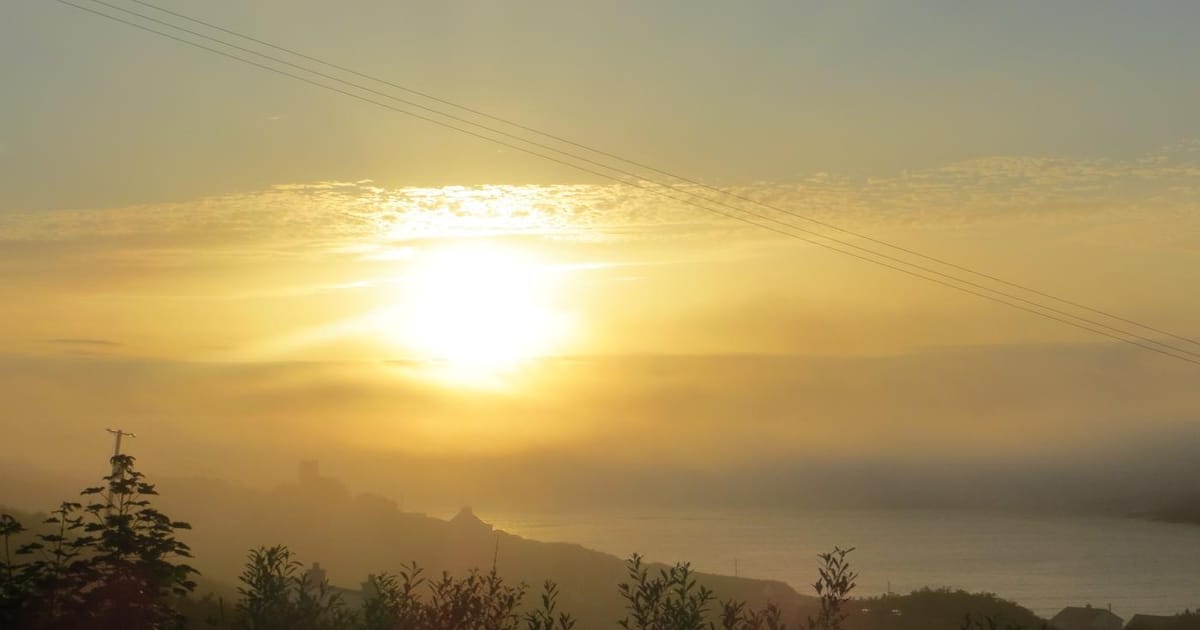 Conor Matchett - Edinburgh, York, Student Caller, University of ...