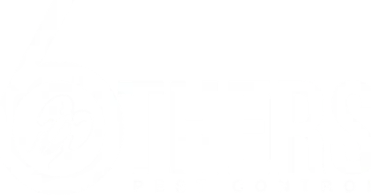 6 Brothers Pest Control Las Vegas Nv About Me