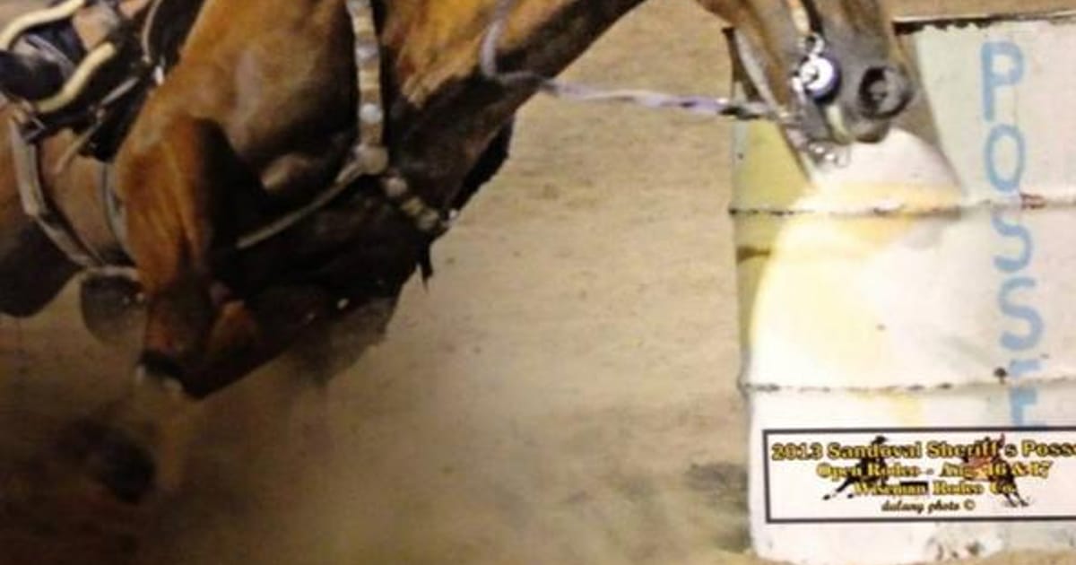 Copper Perry - New Mexico | about.me