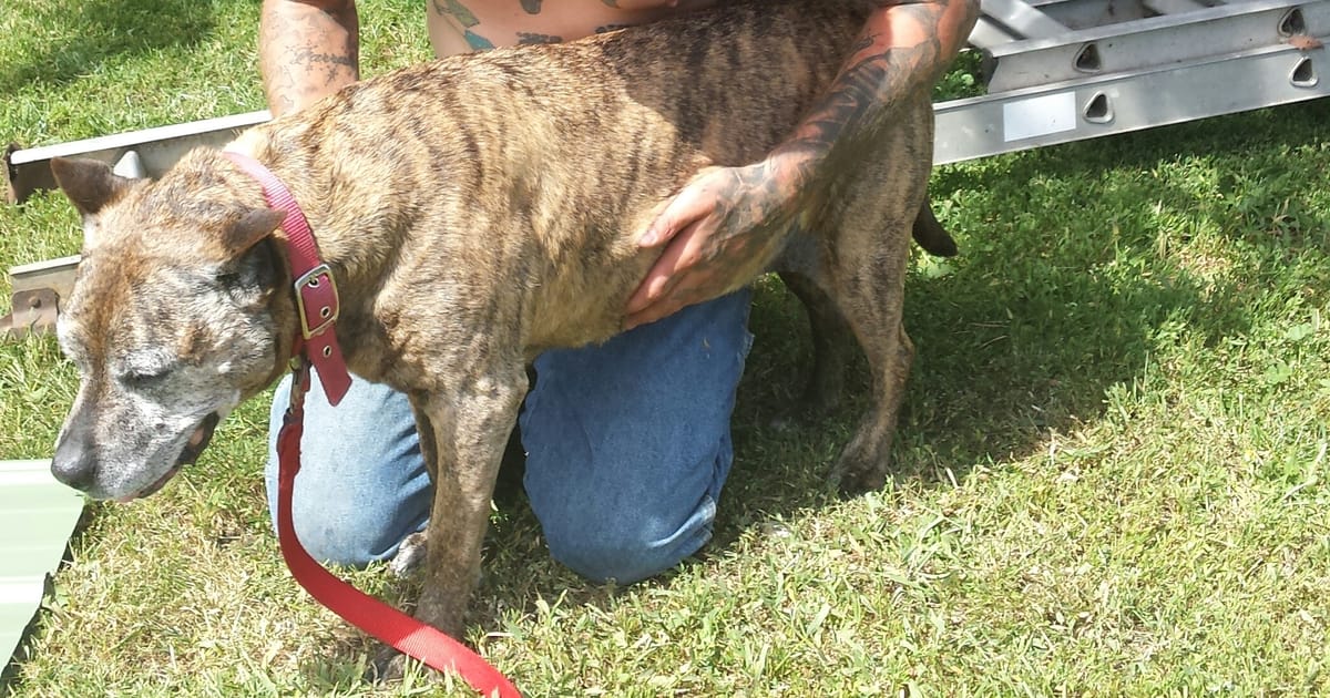 Corey Boone - Cordova Illinois | about.me