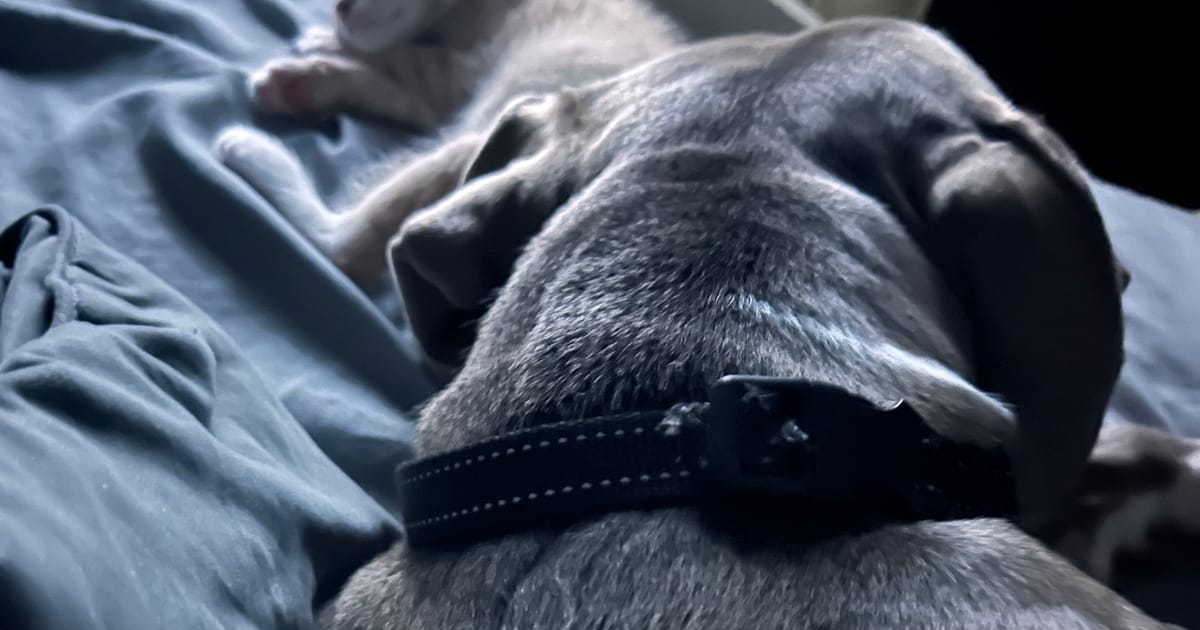 Courtney Ring - 57754 | about.me