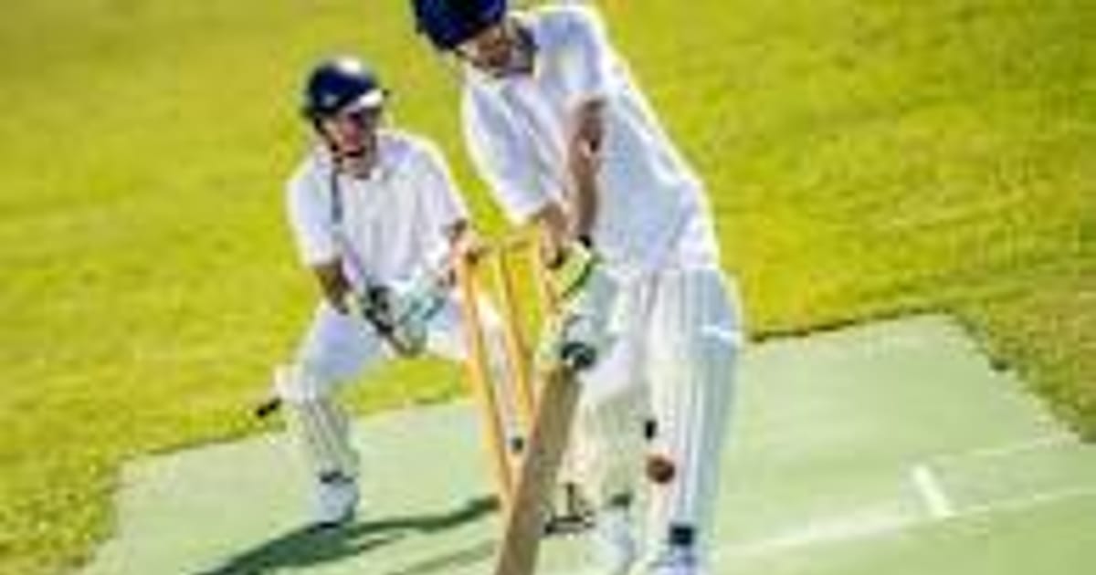 cricket van | about.me