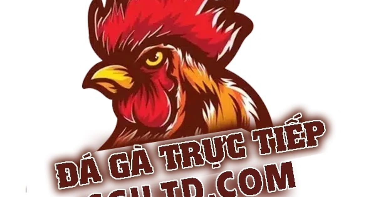 TRỰC TIẾP ĐÁ GÀ THOMO HÔM NAY CPC1 CPC2 CPC3 CPC4 - Vietnam | about.me