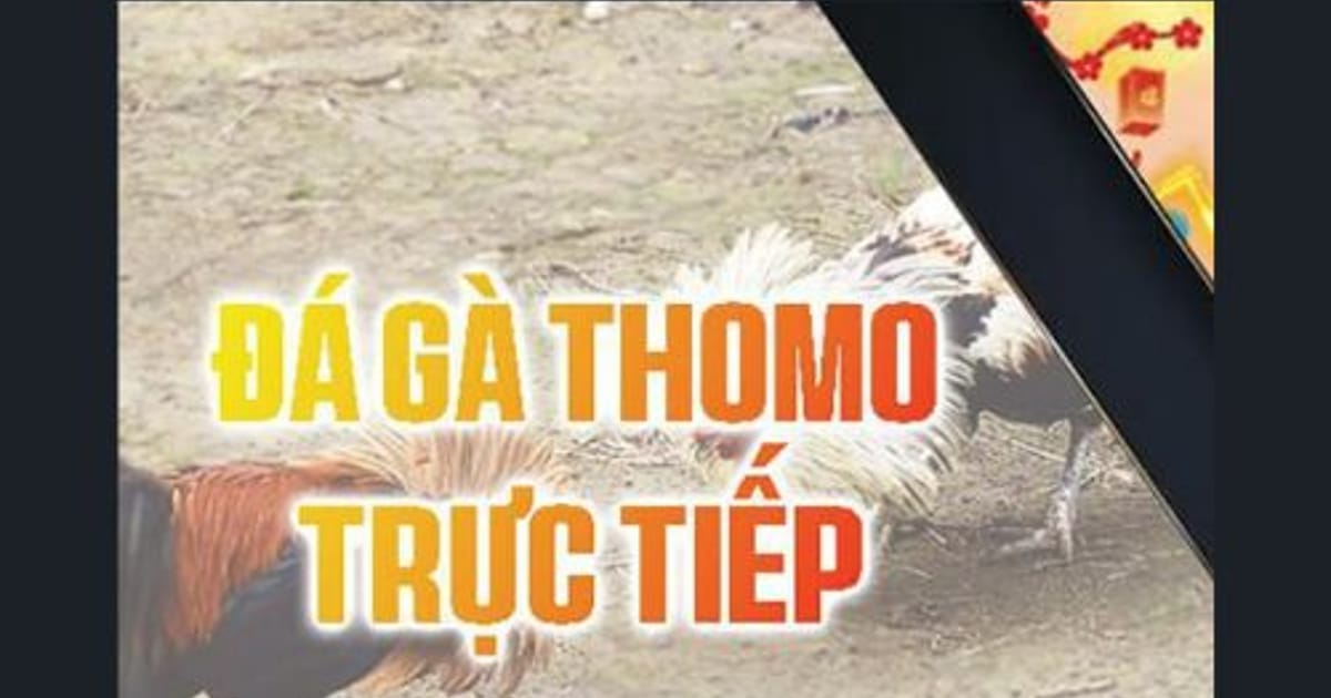 Trực Tiếp Đá Gà - W5J2+99W, Mỹ Quý Tây, Đức Huệ, Long An, Việt Nam | about.me