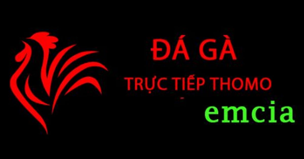 Đá Gà Trực Tiếp Thomo Hôm Nay - Hà Nội | about.me