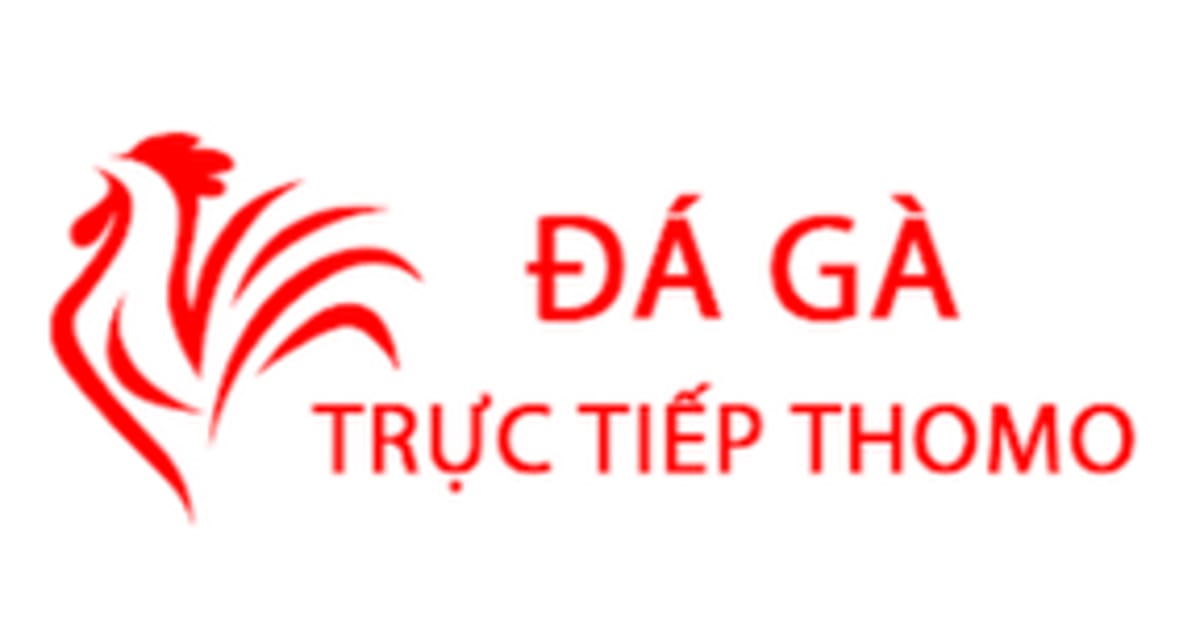 Đá Gà Trực Tiếp Thomo Hôm Nay - Hà Nội | about.me