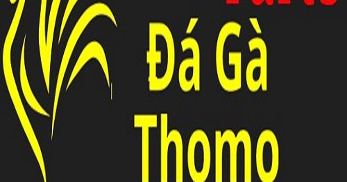 Đá Gà Trực Tiếp Thomo - Hanoi | about.me