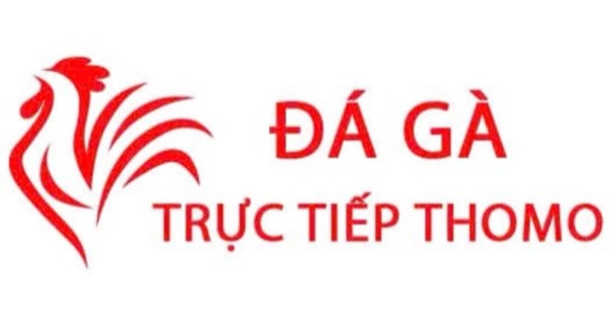 Đá Gà Trực Tiếp Thomo Hôm Nay - Hà Nội | about.me