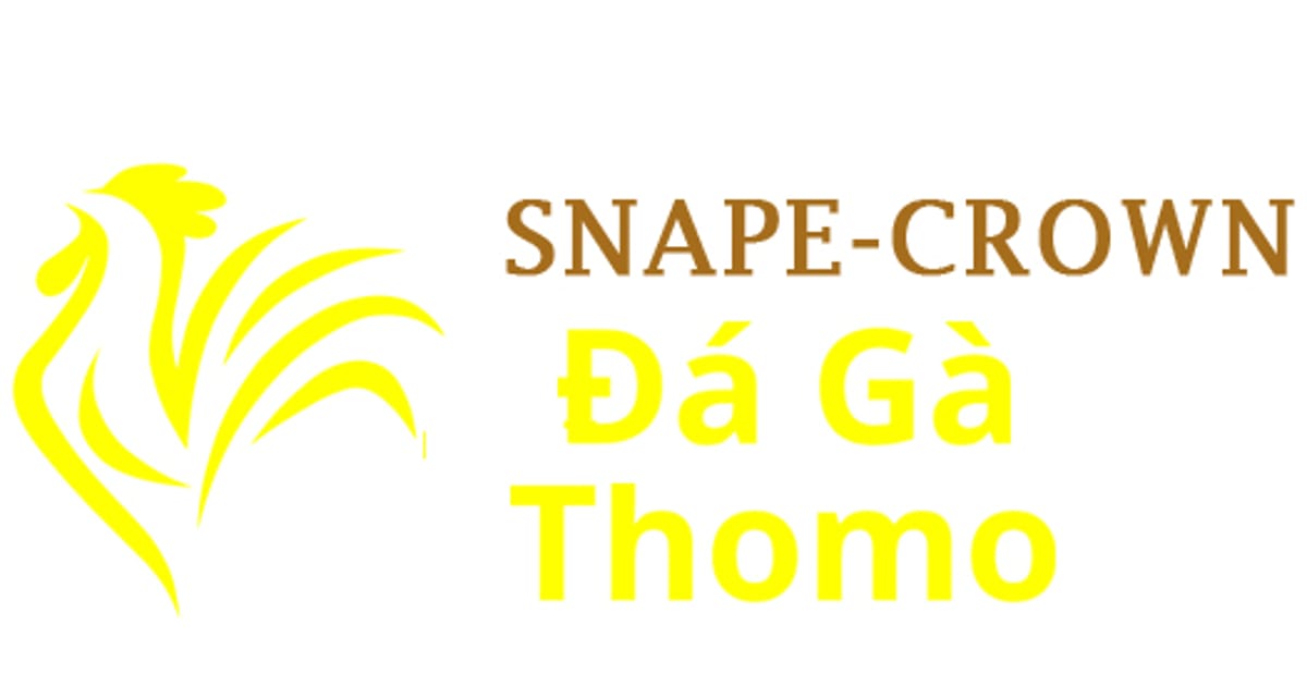 Đá Gà Trực Tiếp Thomo - Hà Nội | about.me