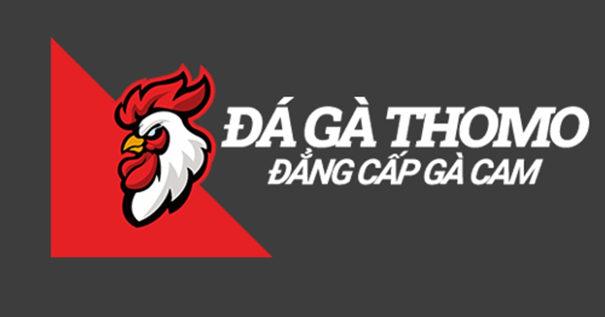 Đá Gà Thomo - Hồ Chí Minh, Việt Nam | about.me