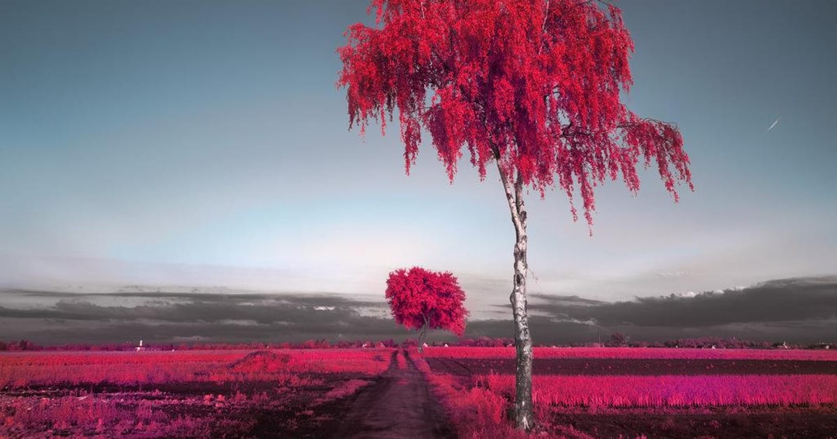 Danni Proctor - Las Vegas, Nevada, Singer-songwriter, Sunrise Mountain ...