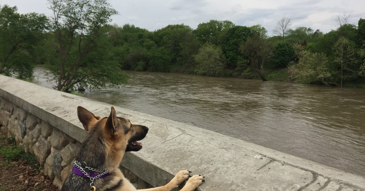 Daniel M Hurt - Fort Lauderdale, Florida | about.me