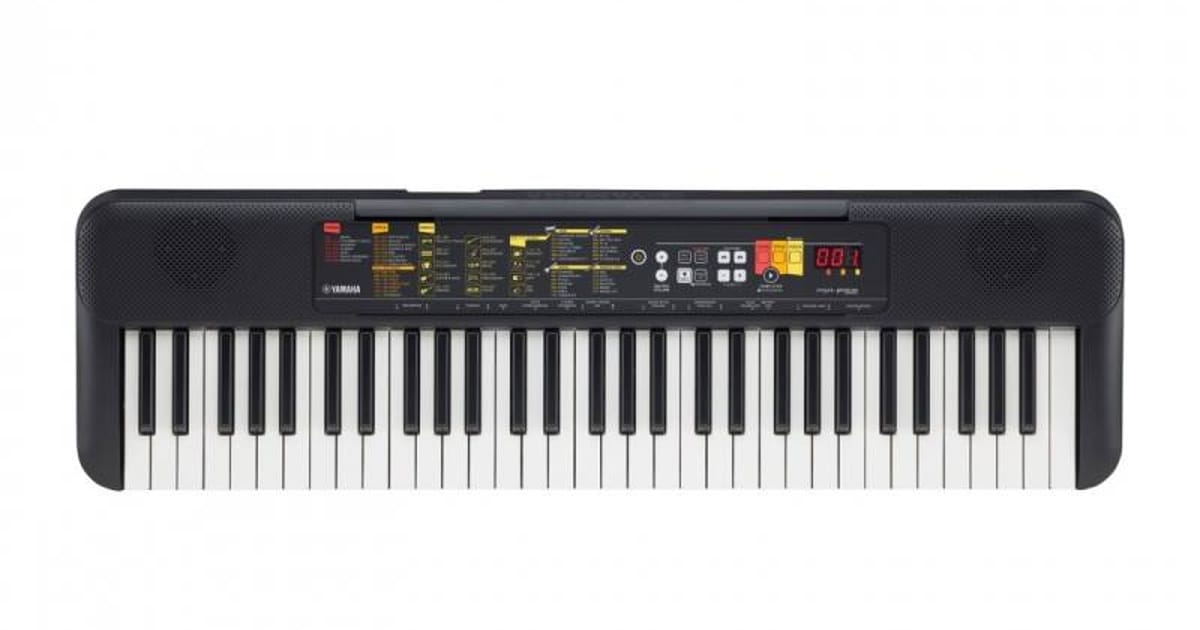 dan organ viet thanh - ho chi minh | about.me