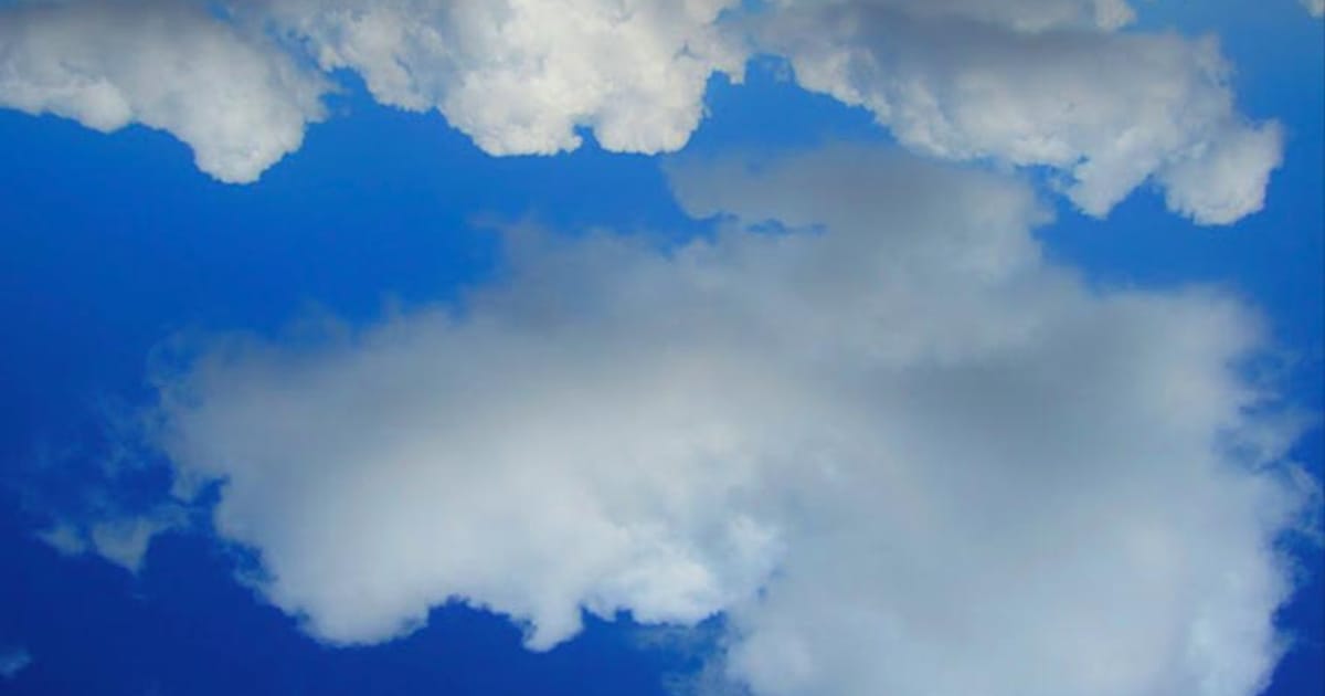 David Z Bodner - New York, New York, Social Media Marketing, Yeshiva ...