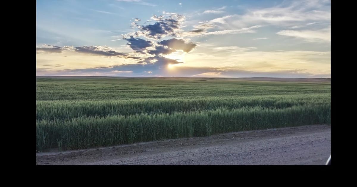 David Egleston - Denver, Colorado, Healthcare Executive, MBA and MSHS ...