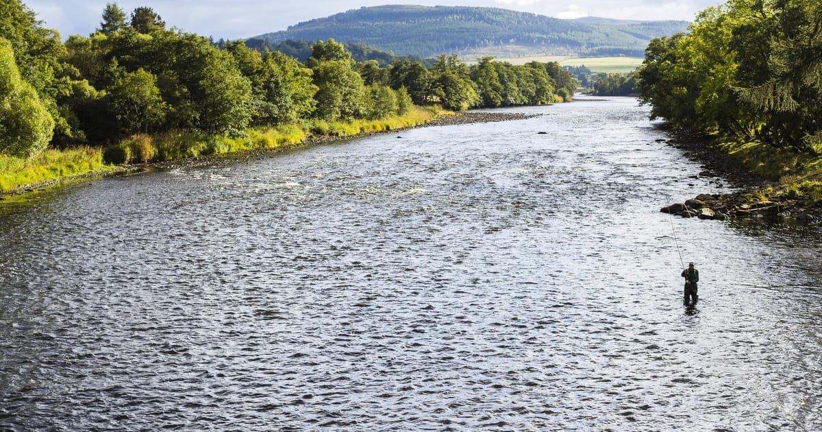 David A. Grogan - New Jersey, CNBC TV | about.me