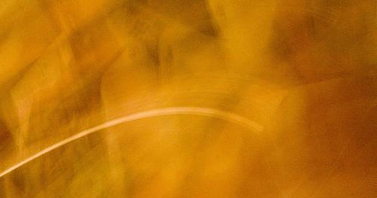 delida costin | about.me