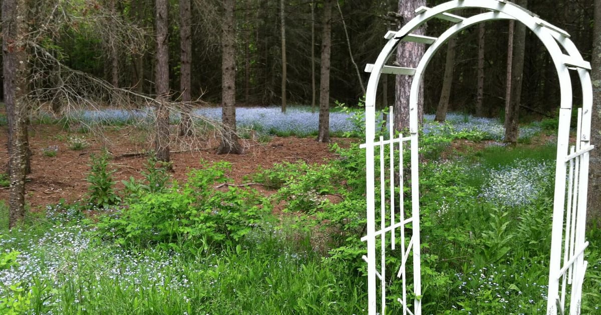 Denise Power - Chicago, IRCE, BA, journalism | about.me