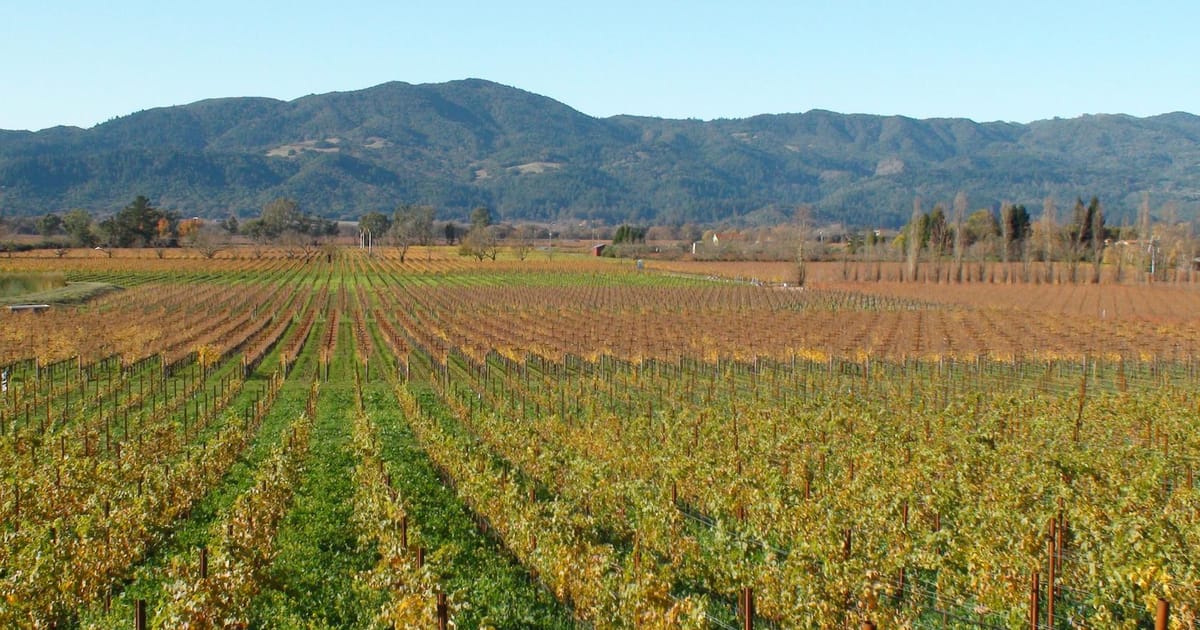 Derick Martin - American Canyon, Video Producer - Video Editor, DVC and ...