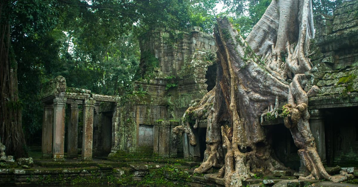 Chris Rasmussen - Melbourne Australia, Brennan It | about.me