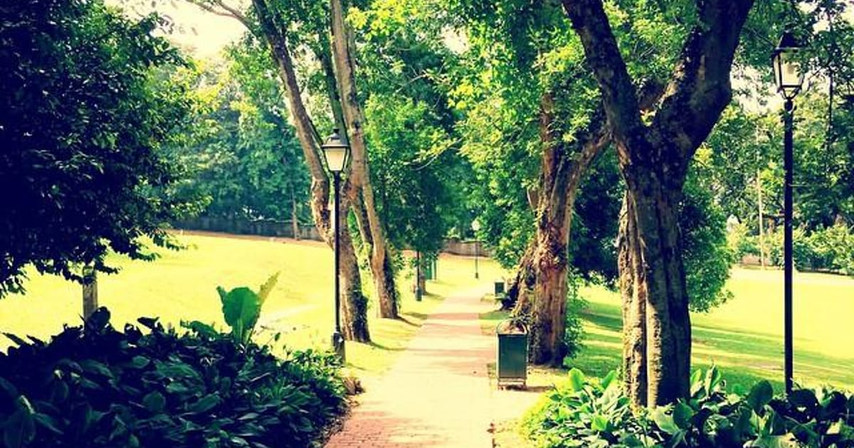 Dinnie Lim - Singapore, Undergraduate | about.me