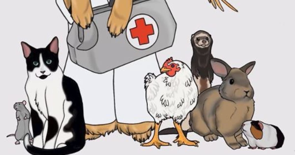 Doctor Bums - United States | about.me