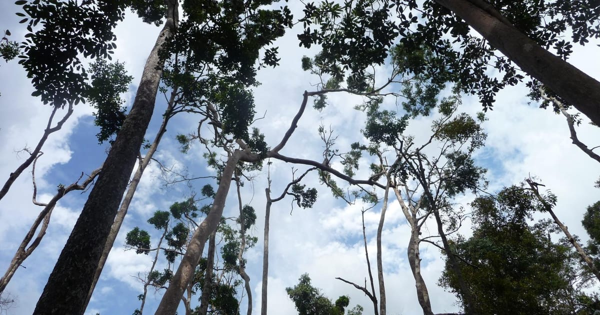 Abbey Drake - Denver, Colorado, USA, Physician Assistant at Johnson ...