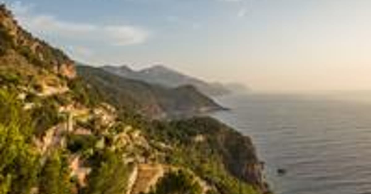 Earwood Maxima - 90033 | about.me