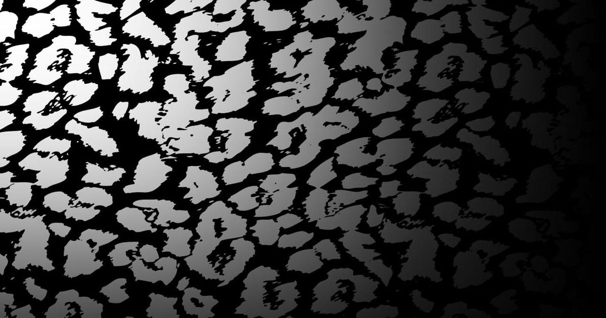 Elaine Macintyre | about.me