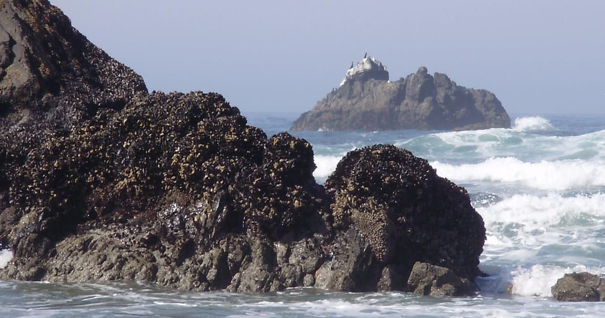 Elizabeth Spleth - Denver, Colorado, Jviation, Oklahoma State ...