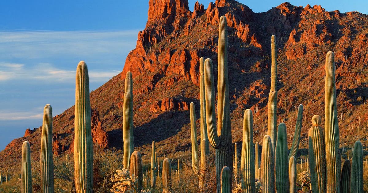 Emile Harmon - Phoenix, Arizona, United States, Harmon Law Office ...