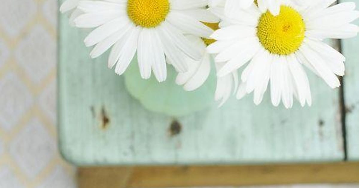 Emily Anderson | about.me