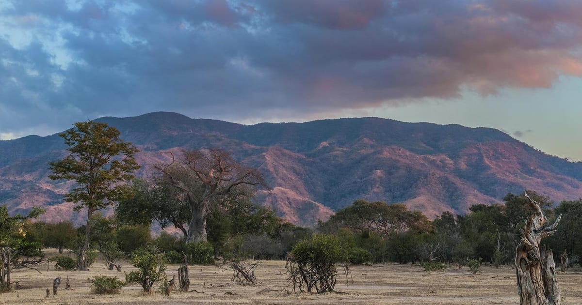 Zane Engelbrecht - England, United Kingdom, Photographic safaris, BA ...