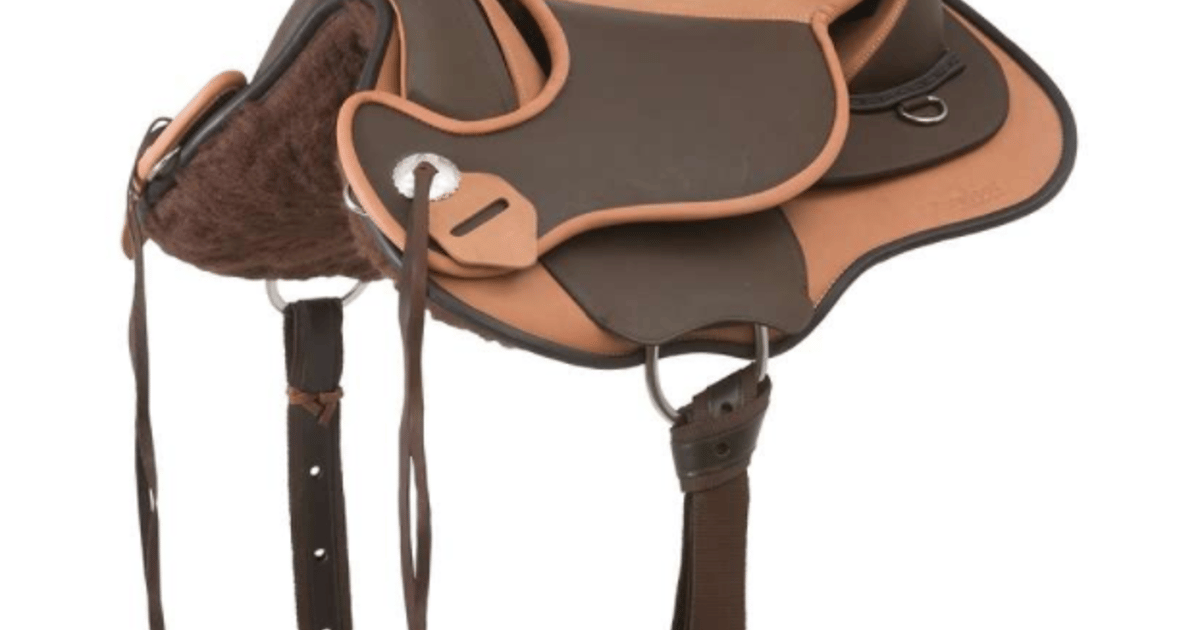 EnglishHorse Saddle - USA | about.me