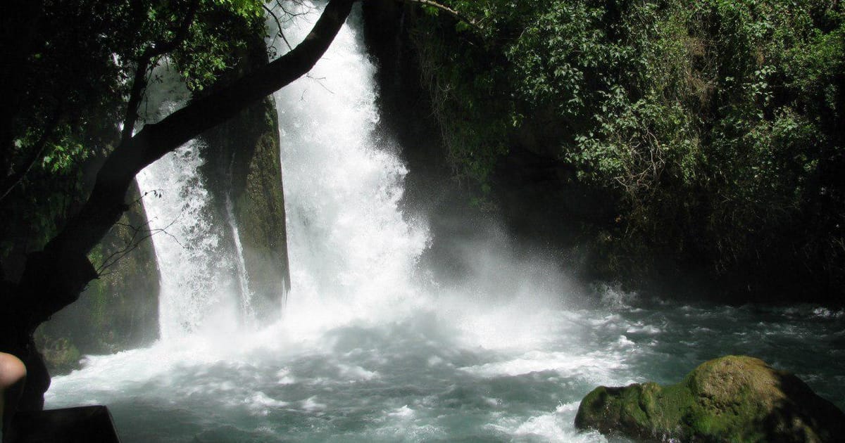 Lingualex - Europe, Estonia, Tallinn, Harju County, Estonia | about.me