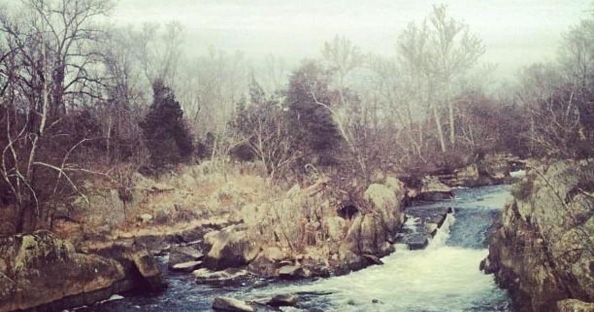 Erin Kay Cawley | about.me