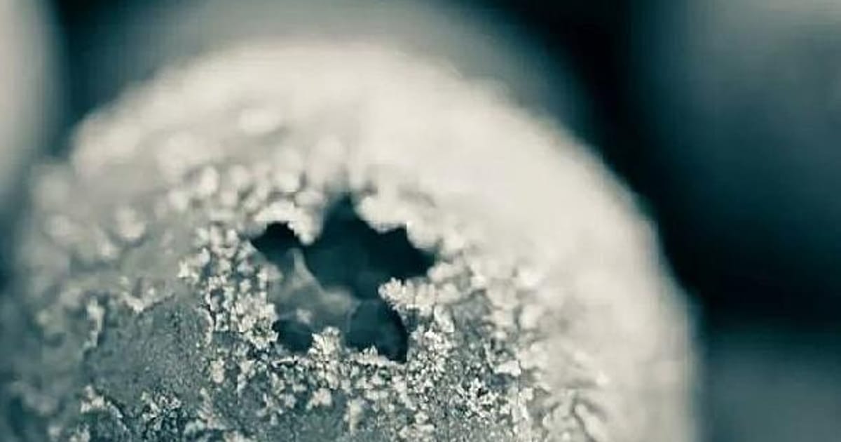 Erin Nadeau - Kennebunk, Maine, Mount Anthony Senior Union High School ...