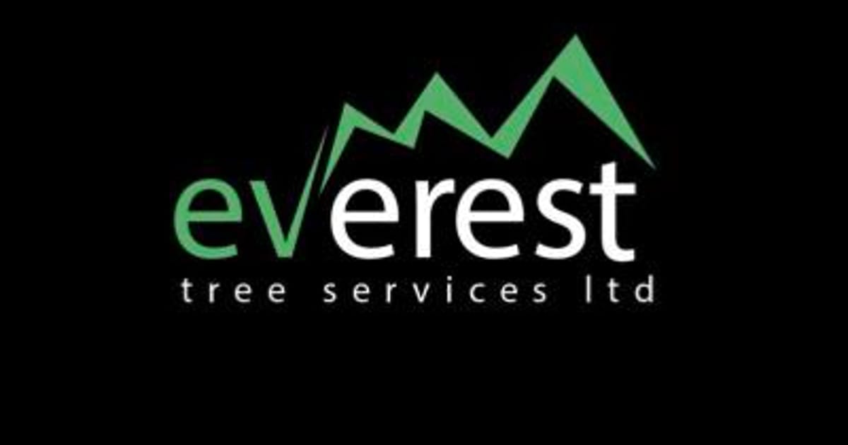 Everest Tree - Hitchin | about.me